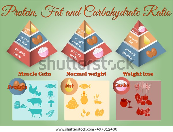 Vector Infographic Proper Nutrition Fat Saturated Stock Vector (Royalty ...