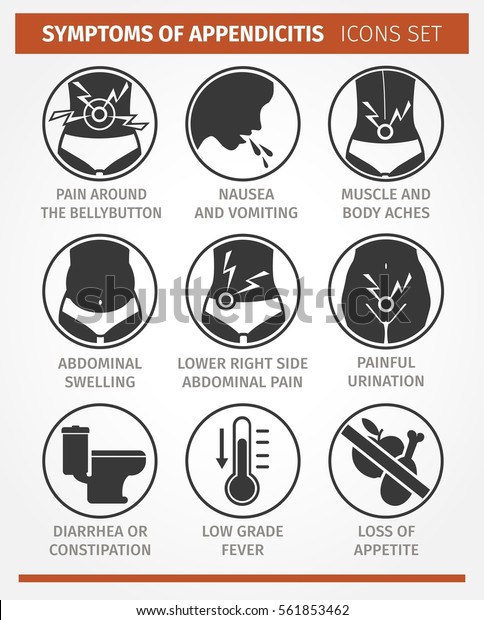 Vector Infographic Symptoms Appendicitis Icon Set Stock Vector (Royalty ...