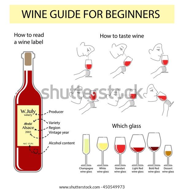 Vector Infographic Wine Tasting Guide Beginners Stock Vector (Royalty ...