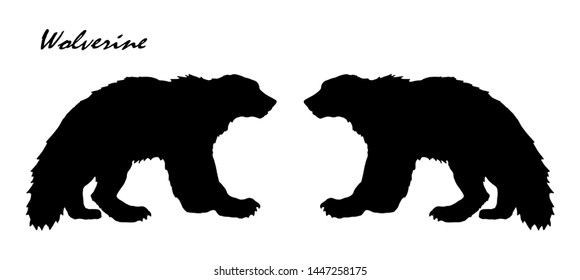 Vector Isolated Black Silhouette Two Wolverines Stock Vector (Royalty ...