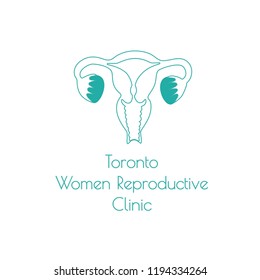 Vector Isolated Illustration Female Reproductive System Stock Vector ...