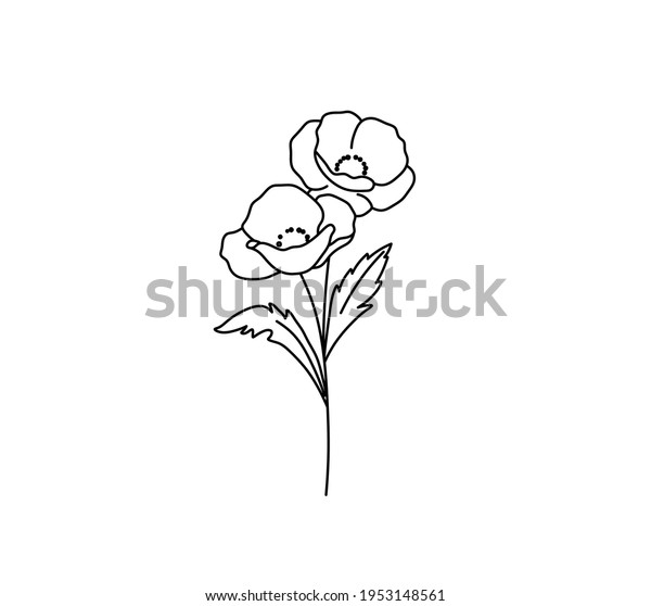Vector Isolated Poppy Flower Line Drawing Stock Vector (Royalty Free ...