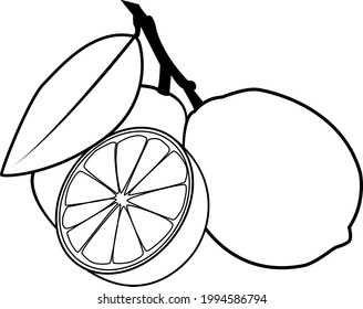 Vector Lemon Line Art Lime Stock Vector (Royalty Free) 1994586794 ...