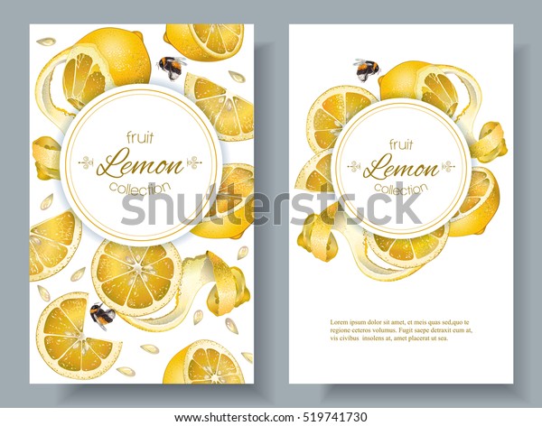 Vector Lemon Vertical Banners Design Juice Stock Vector (Royalty Free ...
