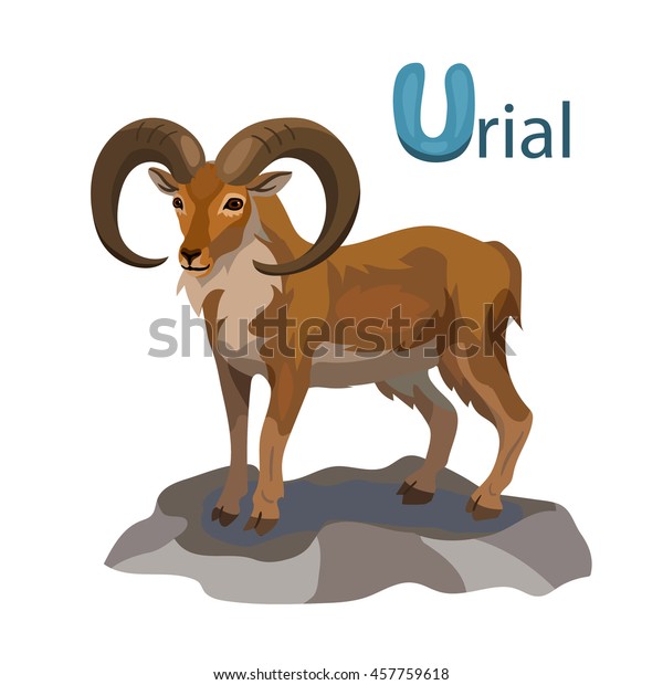 Vector de stock (libre de regalías) sobre Vector Letter U Urial ...
