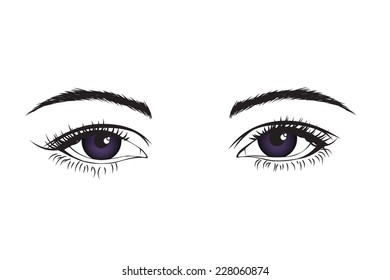 Vector Line Art Detailed Isolated Eyes Stock Vector (Royalty Free ...