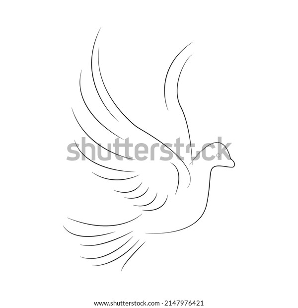 Vector Line Art Pijon Illustration Stock Vector (Royalty Free ...