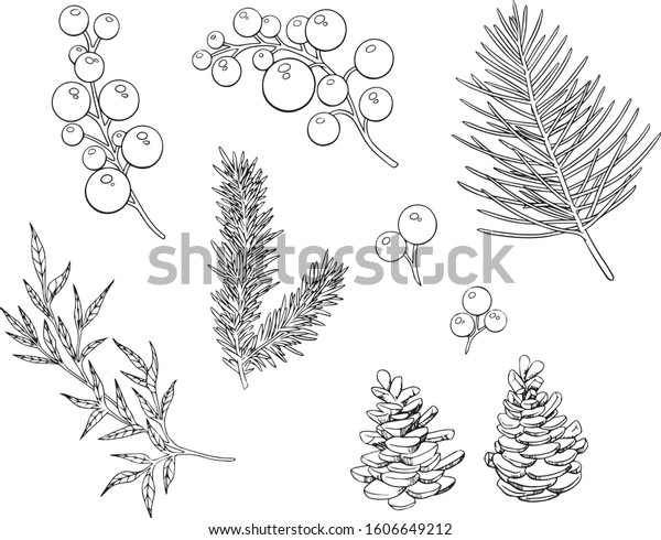 Vector Line Art Plants Nature Stock Vector (Royalty Free) 1606649212 ...