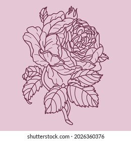 Vector Line Art Rose Branch Stock Vector (Royalty Free) 2026360376 ...