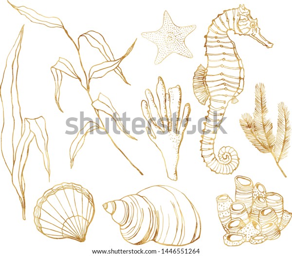 Vector Line Art Underwater Set Hand Stock Vector (Royalty Free ...