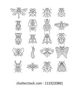 Vector Line Collection Insects Bugs Made Stock Vector (Royalty Free ...
