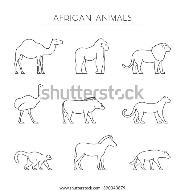 Vector Line Set African Animals Outline 库存矢量图（免版税）390340879 | Shutterstock