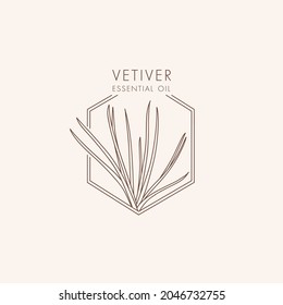 Vector Linear Botanical Icon Symbol Vetiver Stock Vector (Royalty Free ...