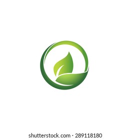 11,725 Two leaf logo Images, Stock Photos & Vectors | Shutterstock