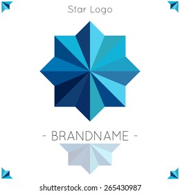 Vector Logo Star Abstract Brochureflyer Design Stock Vector (Royalty ...