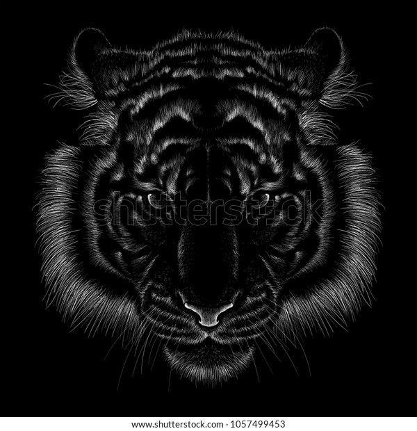 1,088 Puma T Shirt Designs Images, Stock Photos & Vectors | Shutterstock