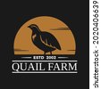 Quail Photos, Images & Pictures | Shutterstock