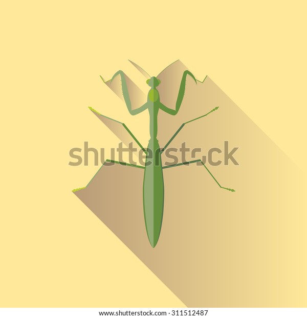 Vector Long Shadow Praying Mantis Stock Vector (Royalty Free) 311512487