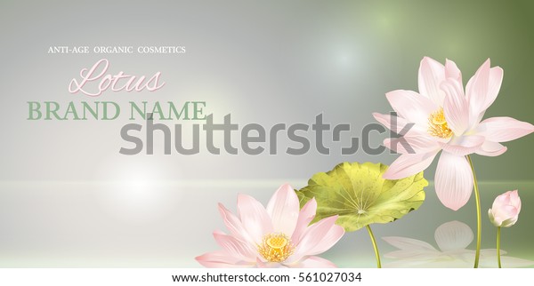 Banner de loto vectorial sobre fondo: vector de stock (libre de ...