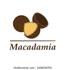 Vector Macadamia Logo Cartoon Style Illustration Stock Vector (Royalty ...