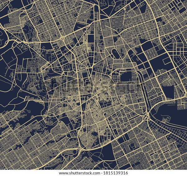 Vector Map City Riyadh Riyadh Province Stock Vector (Royalty Free ...