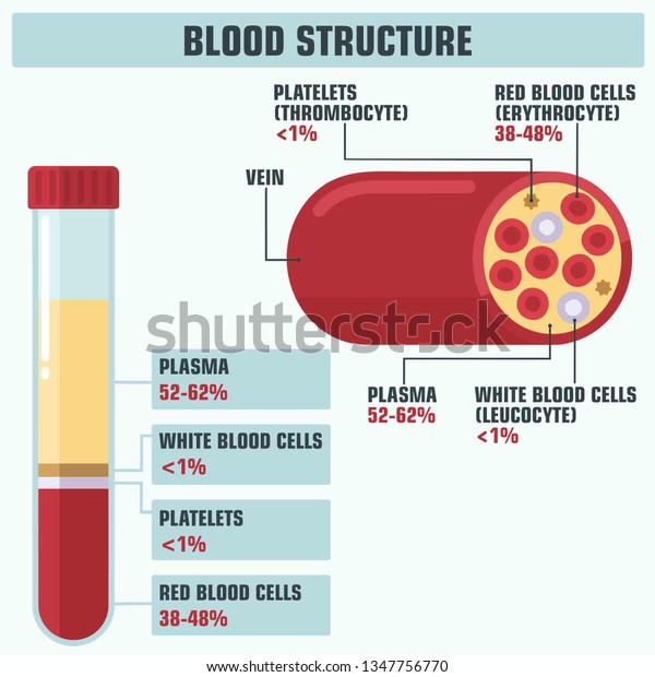 Vector Medical Icon Blood Structure Picture Stock Vector (Royalty Free ...