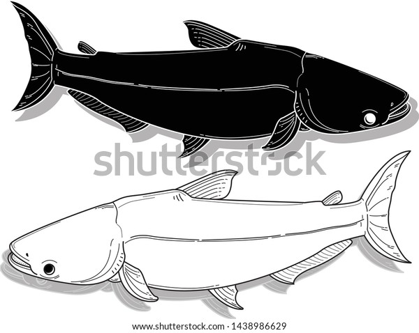 Vector Mekong Giant Catfish Stock Vector (Royalty Free) 1438986629 ...