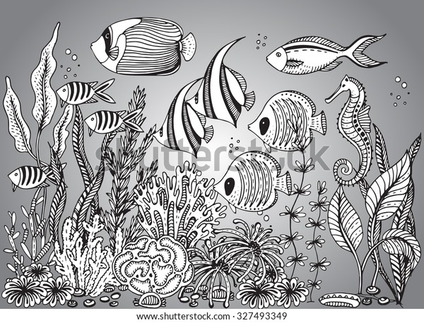Vector Monochrome Hand Drawn Illustration Seashell Stock Vector ...