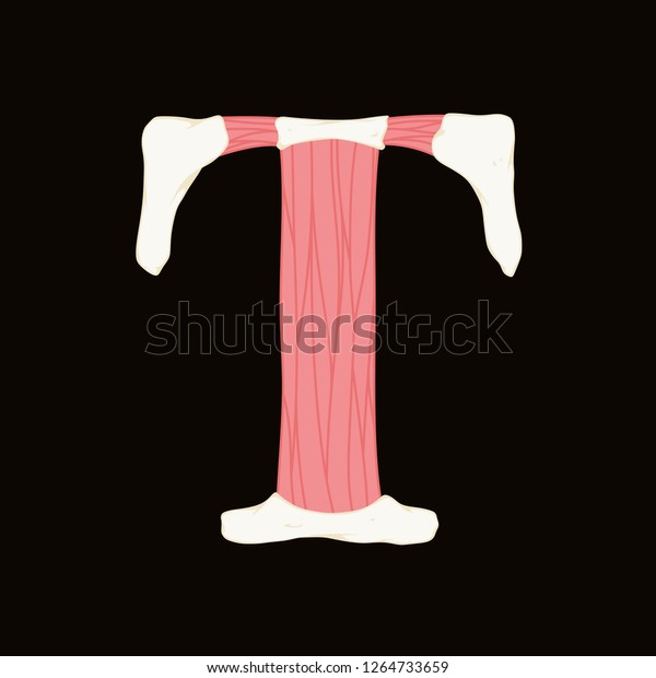 Vector Muscle Font Stock Vector (Royalty Free) 1264733659 | Shutterstock