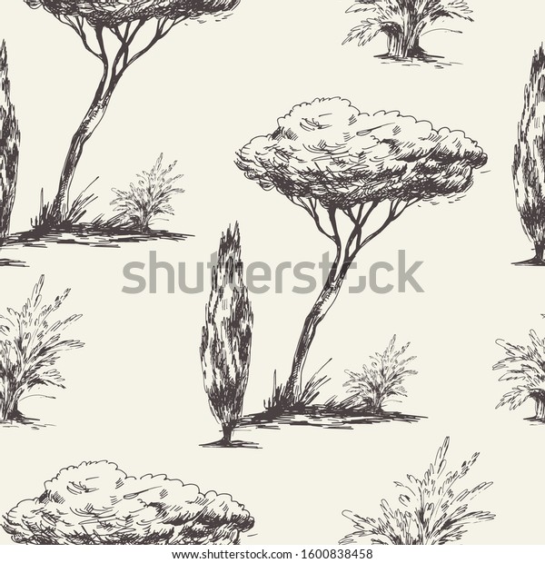 Vector Natural Set Monochrome Trees Vintage Stock Vector (Royalty Free ...