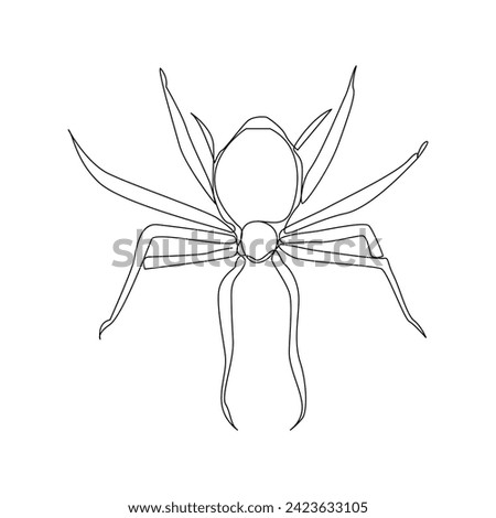 Spider Line Drawing | Free download on ClipArtMag