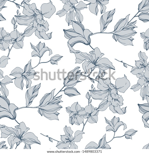 Vector Orchid Floral Botanical Flowers Wild Stock Vector (Royalty Free ...