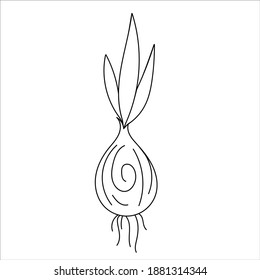 Doodle de cebolla dibujado a mano: vector de stock (libre de regalías ...