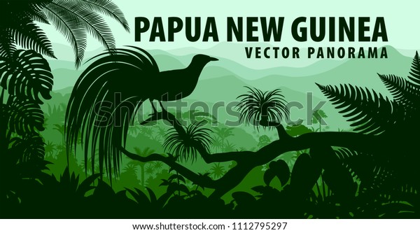 Vector Panorama Papua New Guinea Lesser Stock Vector (Royalty Free ...