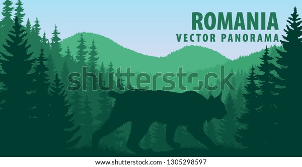 Vector Panorama Romania Wild Bobcat Lynx Stock Vector (Royalty Free ...