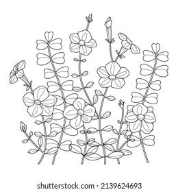 Vector Petunia Flower Coloring Book Outline Stock Vector (Royalty Free ...