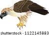 115 Philippine Eagle Stock Vectors and Vector Art | Shutterstock