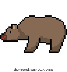 Vector Pixel Art Bear Isolated 스톡 벡터(로열티 프리) 1017704383 | Shutterstock