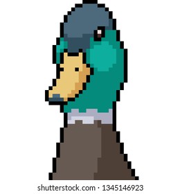 Vector Pixel Art Duck Head Isolated Stock Vector (Royalty Free ...
