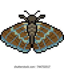 Vector Pixel Art Insect Moth Isolated Stock Vector (Royalty Free ...
