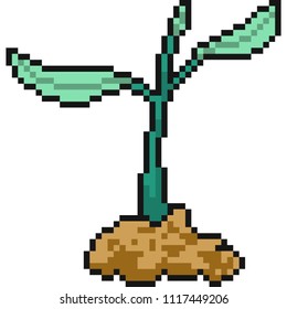 Vector Pixel Art Plant Seed Isolated Stock Vector (Royalty Free ...