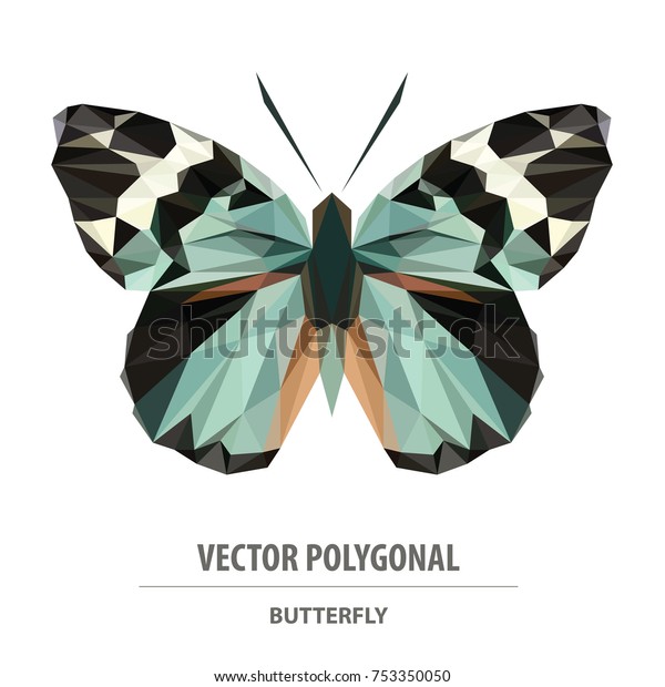 Image vectorielle papillon polygonal isolé sur : image vectorielle de ...