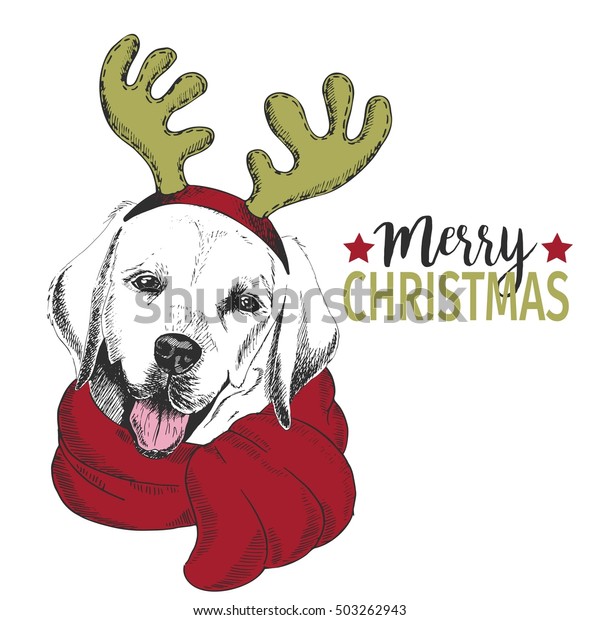Vector Portrait Christmas Dog Labrador Retriever Stock Vector (Royalty ...