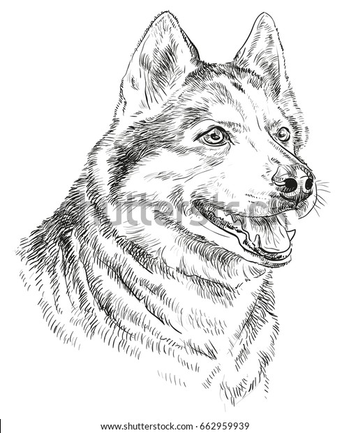 Vector Portrait Siberian Husky Black Color Stock Vector (Royalty Free ...