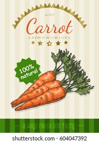 Vector Poster Carrots Sketch Style Vector Stock Vector (Royalty Free ...