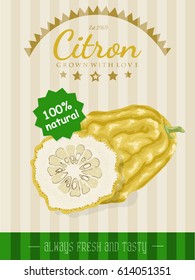 Vector Poster Citron Vector Illustration Your Stock Vector (Royalty ...