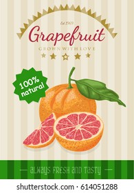 Vector Poster Grapefruit Vector Illustration Your Stock Vector (Royalty ...