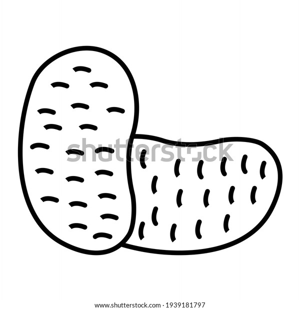 Vector Potato Outline Icon Design Stock Vector (Royalty Free) 1939181797