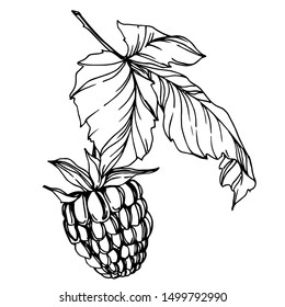 Leaf Coloring Book Pages Doddle Coloring Stock Vector (Royalty Free ...