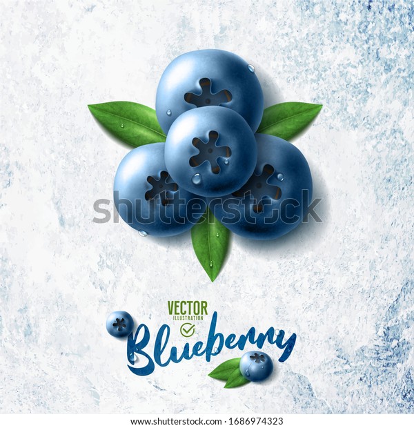 96,266 Blueberries Illustration Images, Stock Photos & Vectors ...